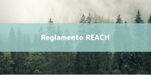 REACH Regulation: Key Requirements, Compliance Risks and Expert Support ...