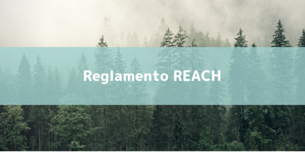 REACH Regulation: Key Requirements, Compliance Risks and Expert Support ...